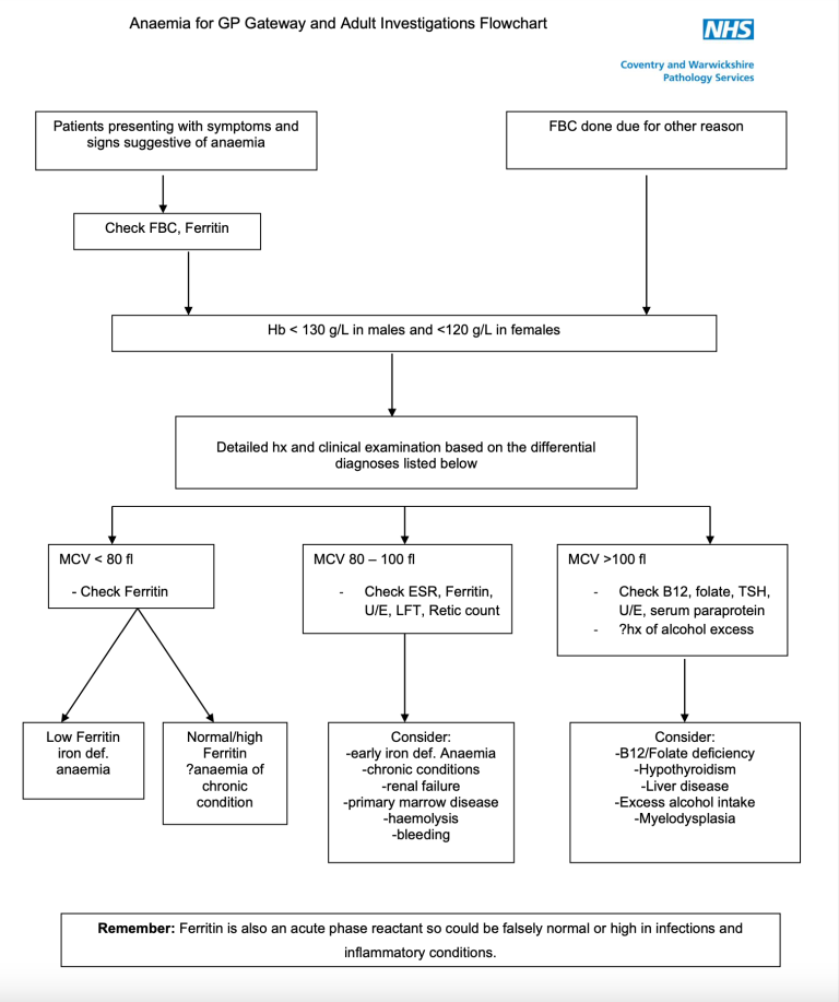 Anaemia (adults) – Investigations and Management – GP Gateway