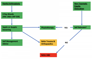 Knee Pain (Adults) – GP Gateway