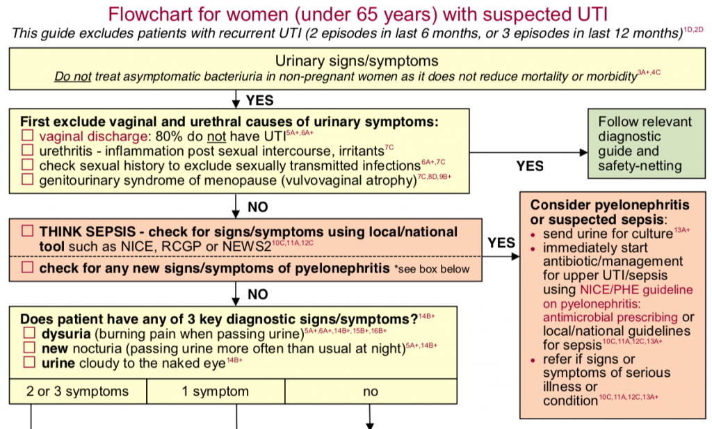 Urinary Tract Infection (UTI) & Recurrent UTI – GP Gateway