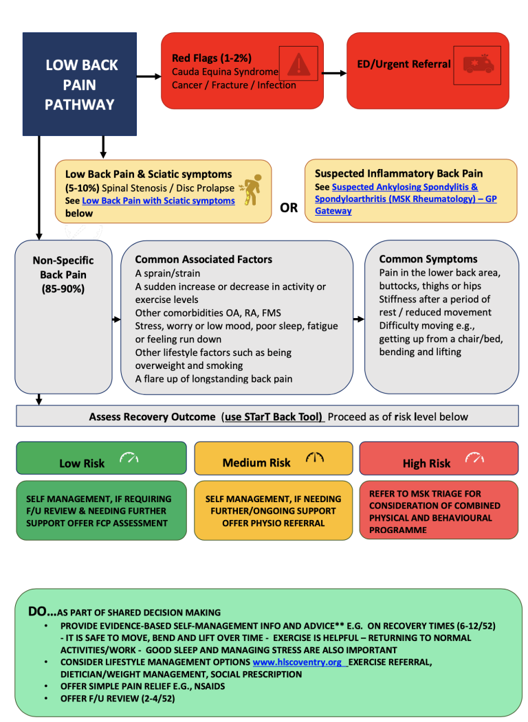 Low Back Pain – GP Gateway