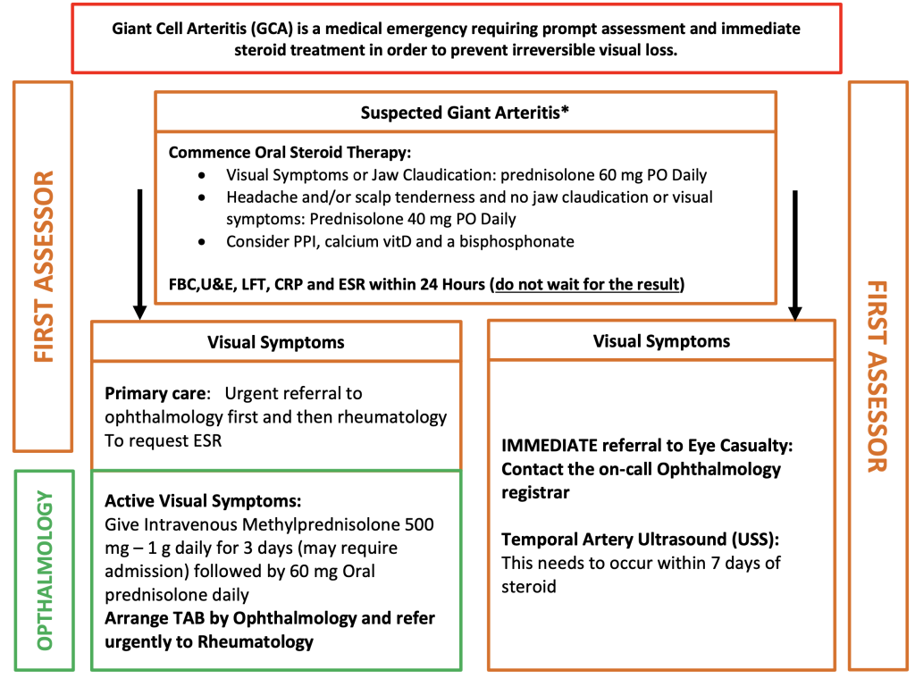 Giant Cell Arteritis / Temporal Arteritis (MSK Rheumatology) – GP Gateway