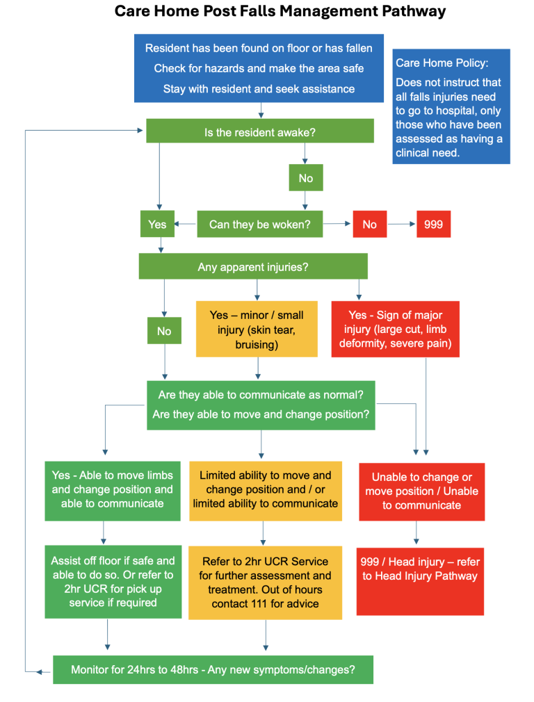 Falls Management in Care Homes – GP Gateway